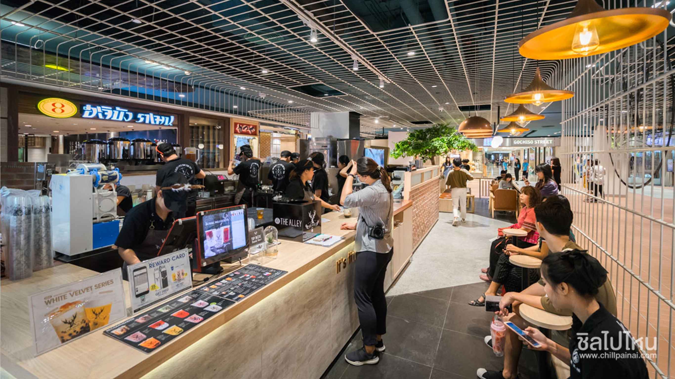 5 ร้านชานมไข่มุกอร่อยขั้นเทพ คิวยาวแค่ไหนก็ต้องรอ | เอฟดับบลิวดี ประเทศไทย