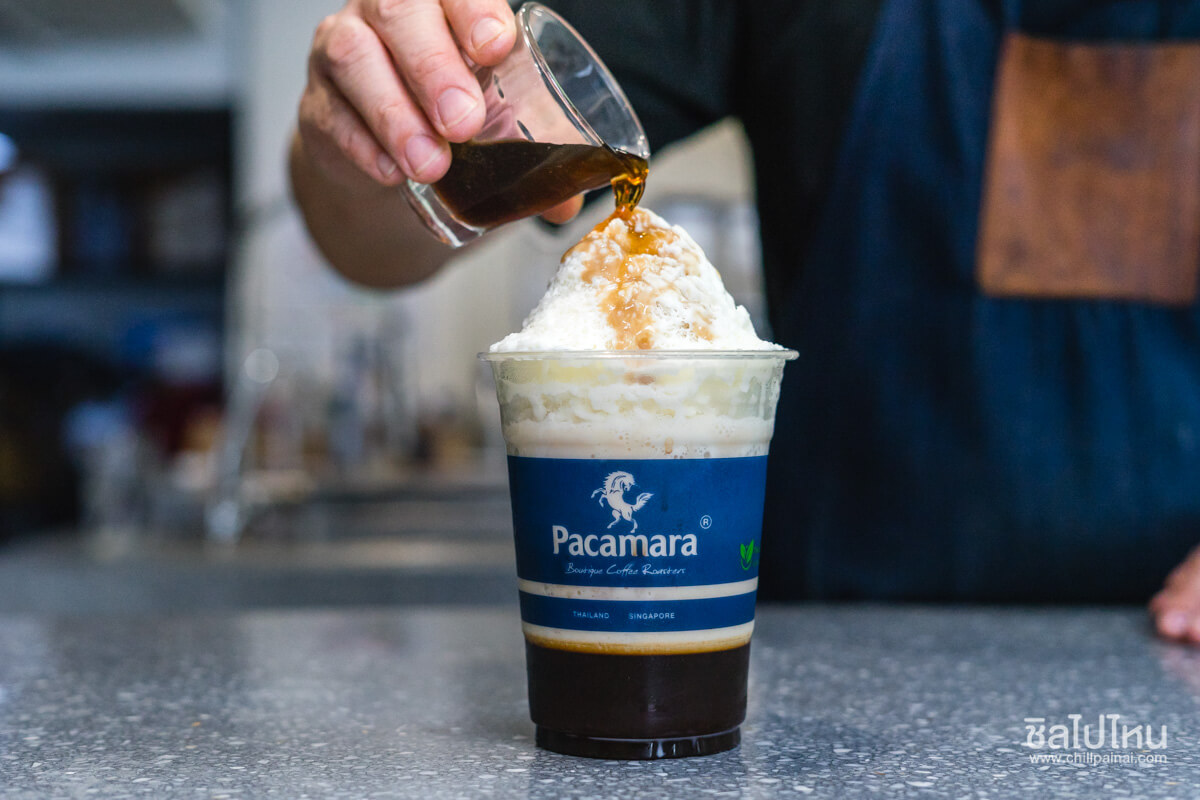 Pacamara Boutique Coffee Roasters แหล่งรวมกาแฟดีระดับโลก | เอฟดับบลิวดี ...