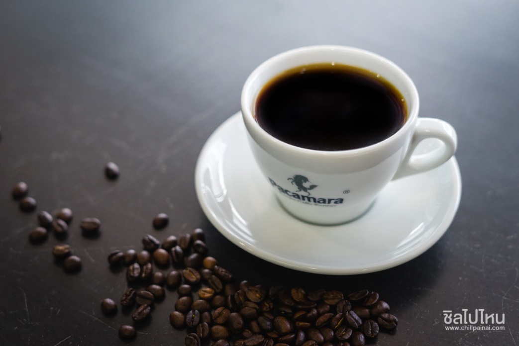 Pacamara Boutique Coffee Roasters แหล่งรวมกาแฟดีระดับโลก | เอฟดับบลิวดี ...