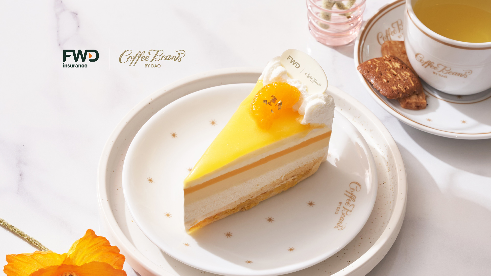 Experiences of “Celebrate living”